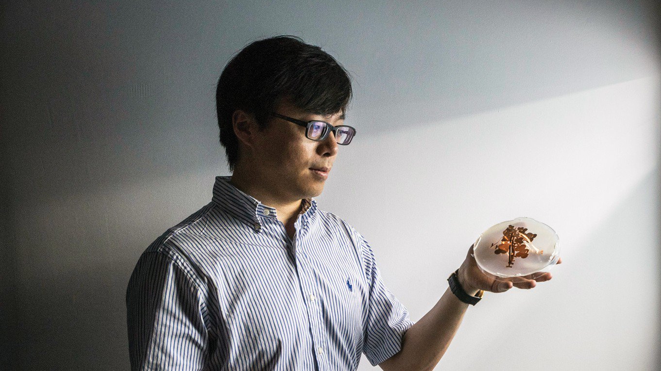 Yihui Zhang Innovators Under 35